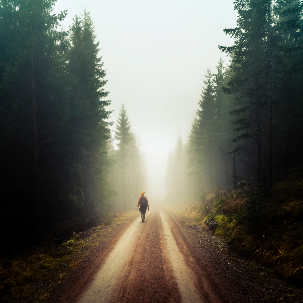 New plainpicture book cover images